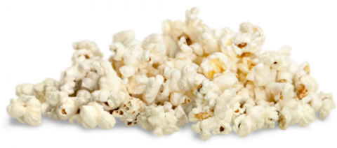 Northeast Illinois Council - Popcorn Fun Day for Top Sellers