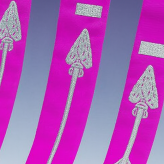 Greater St. Louis Area Scouting - Woapink Vigil Sash Names 2025